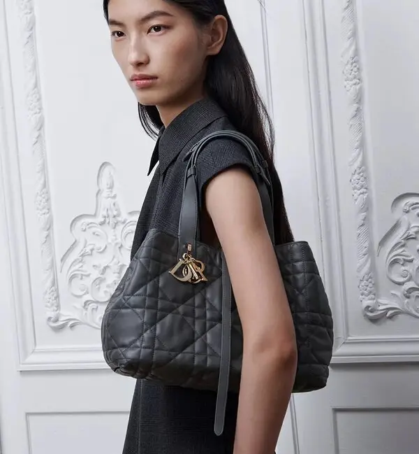 Dior Medium Always Bag - Grey