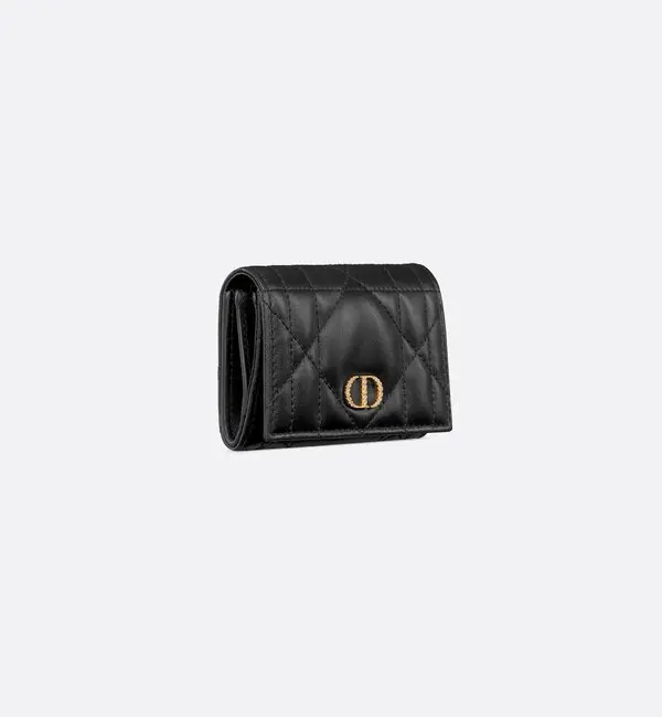 Dior Caro Glycine Wallet