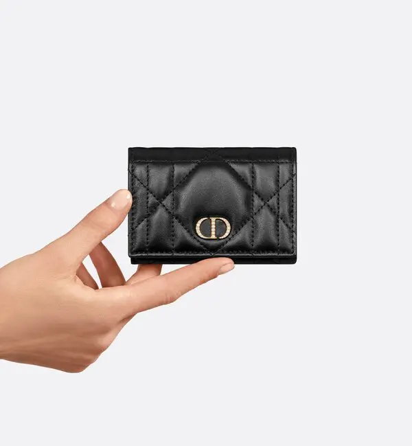 Dior Caro Glycine Wallet