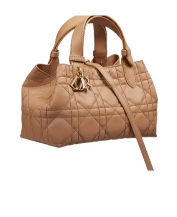 Dior Medium Diortoujours Bag