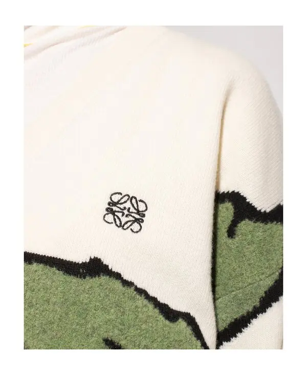 Loewe Asymmetric Floral Intarsia Knit V-neck Jumper