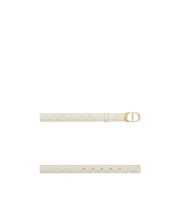 Dior 30montaigne Belt