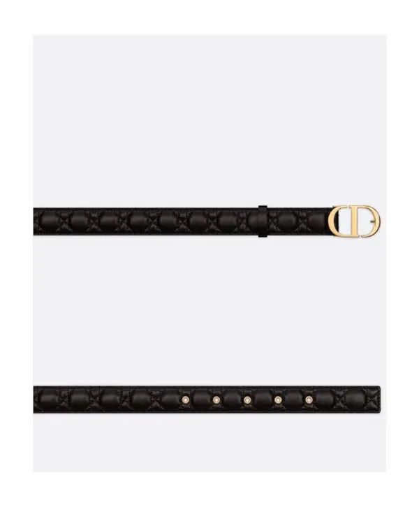 Dior 30montaigne Belt