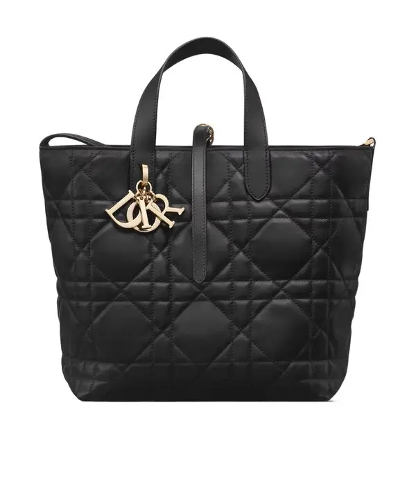 Dior Medium Vertical Tote Bag - Black