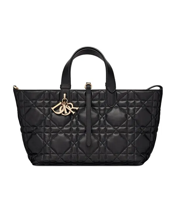 Dior Medium Toujours Bag