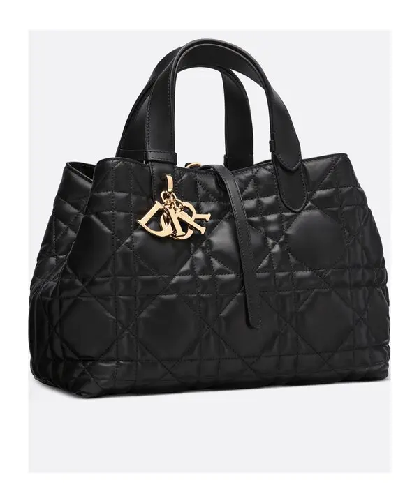 Dior Medium Toujours Bag