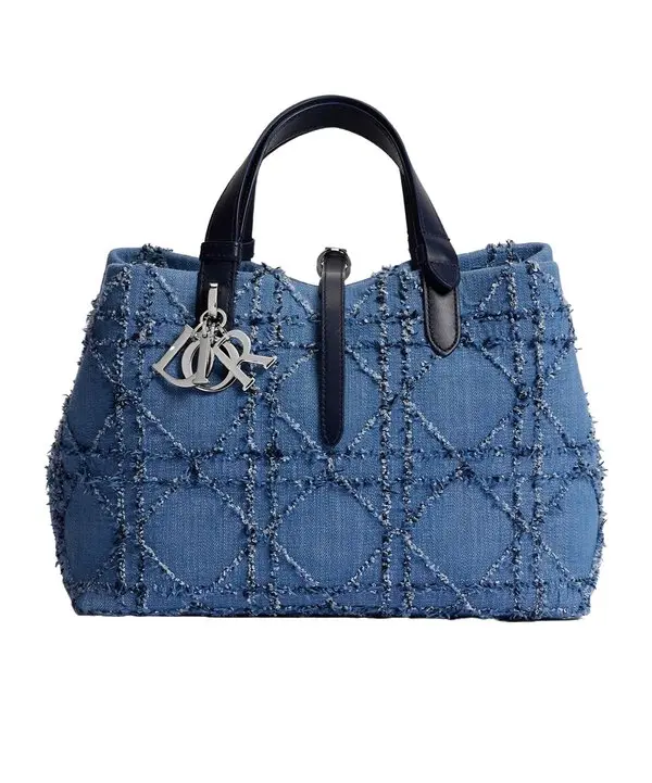 Dior Medium Toujours Bag