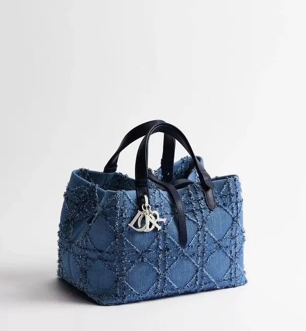 Dior Medium Toujours Bag