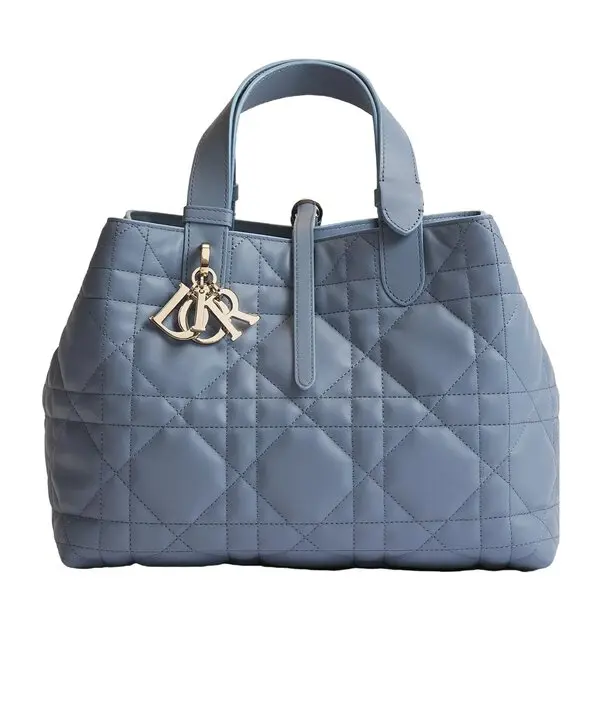 Dior Medium Toujours Bag - Gray