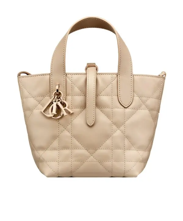 Dior Toujours Vertical Nano Tote Bag