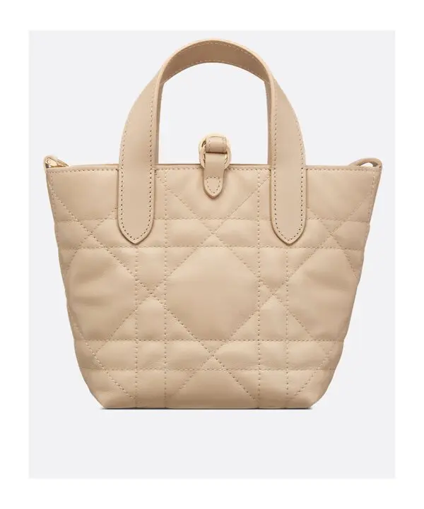Dior Toujours Vertical Nano Tote Bag