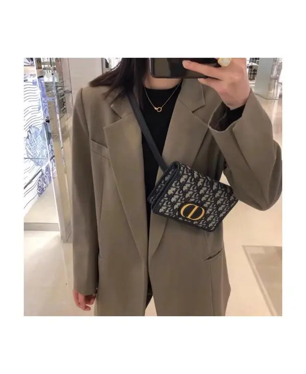 Dior 30 Montaigne Pouch