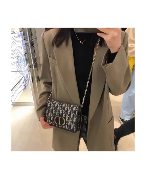 Dior 30 Montaigne Pouch