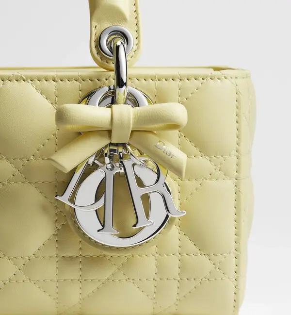 Dior Mini Lady D-joy Bag