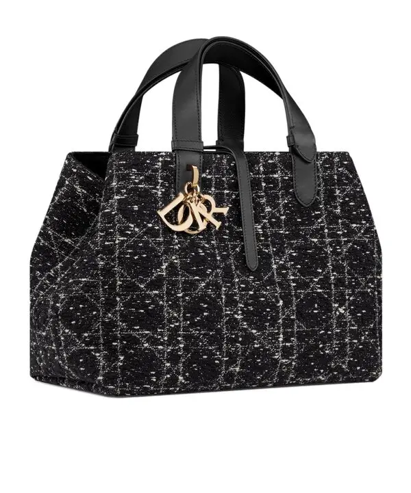 Dior Medium Toujours Bag