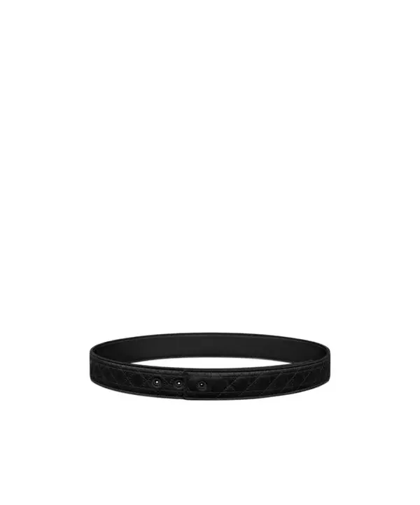 Dior Reversible Belt Strap