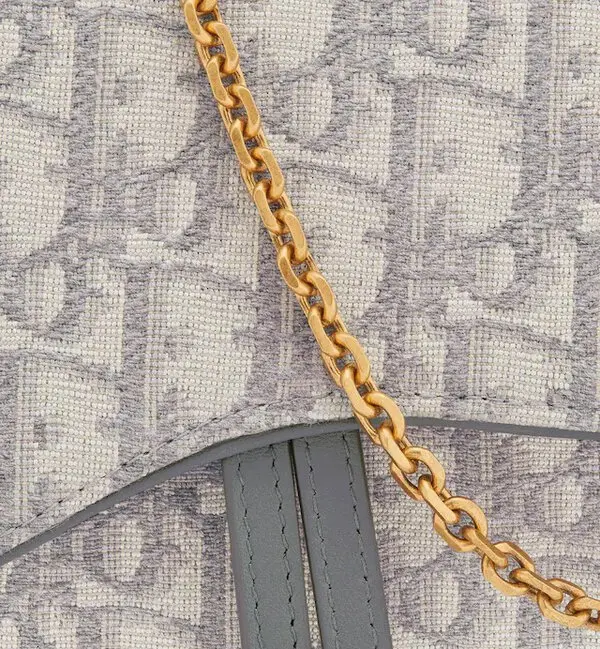 Dior Saddle Pouch With Chain