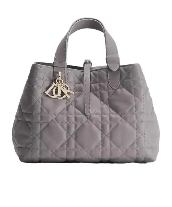 Dior Medium Toujours Bag
