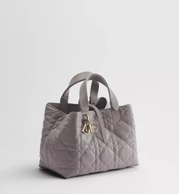 Dior Medium Toujours Bag