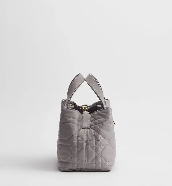Dior Medium Toujours Bag