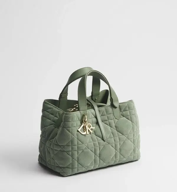 Dior Medium Toujours Bag