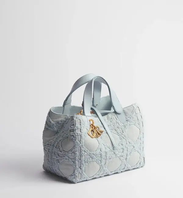 Dior Medium Toujours Bag
