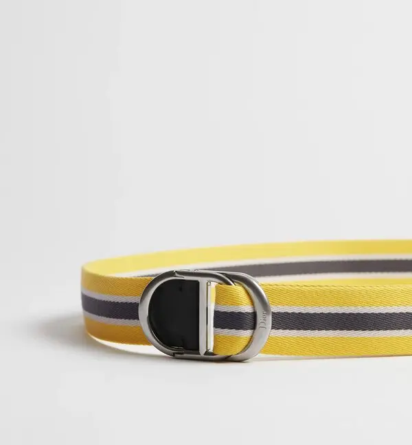 Dior Cd Belt With Tricolor Stripes
