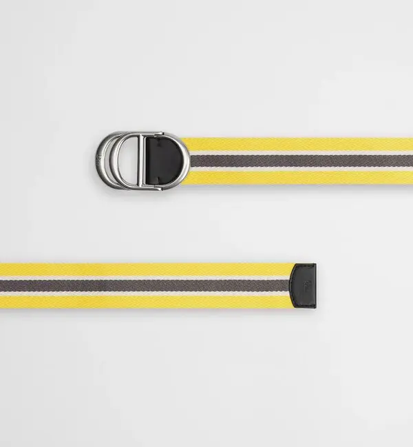 Dior Cd Belt With Tricolor Stripes