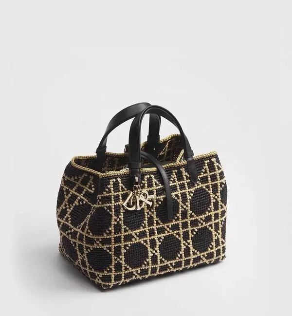 Dior Medium Toujours Bag