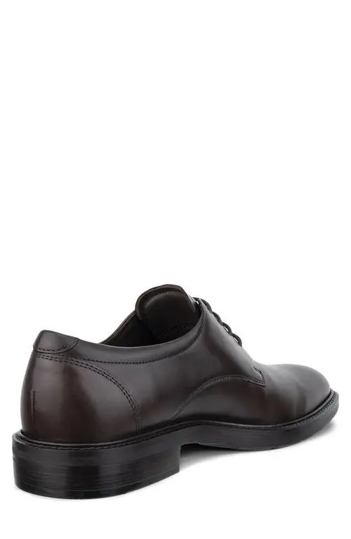 Ecco Metropole Prague Plain Toe Derby - Brown