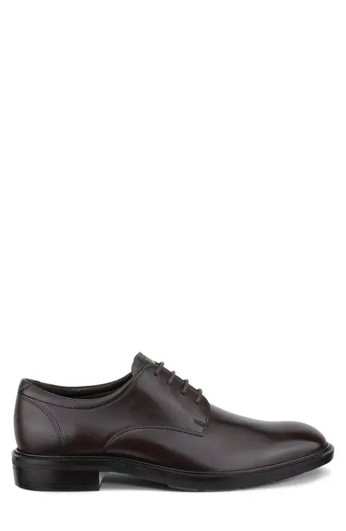 Ecco Metropole Prague Plain Toe Derby - Brown