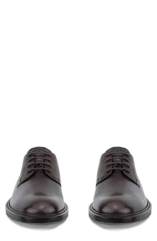 Ecco Metropole Prague Plain Toe Derby - Brown