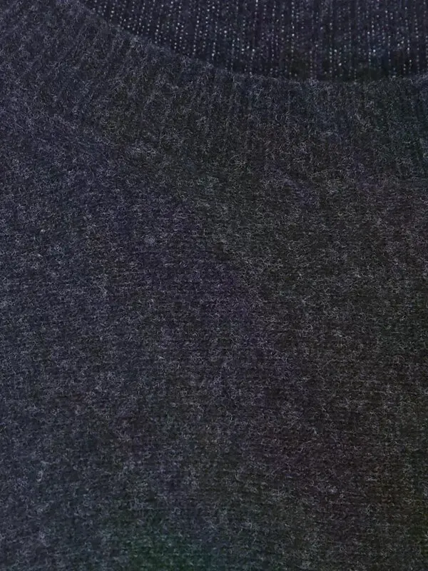 Sofie D'hoore Wool Crew-neck Sweater