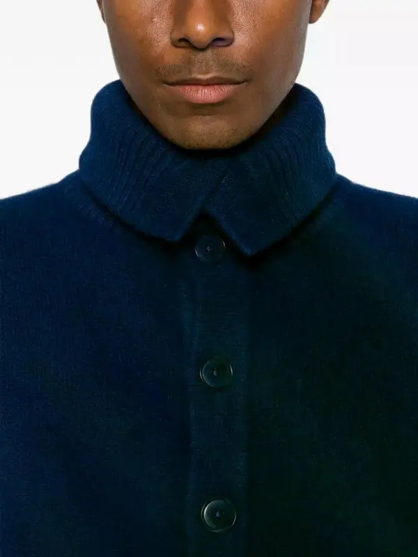 Extreme Cashmere Clement Button-up Cardigan