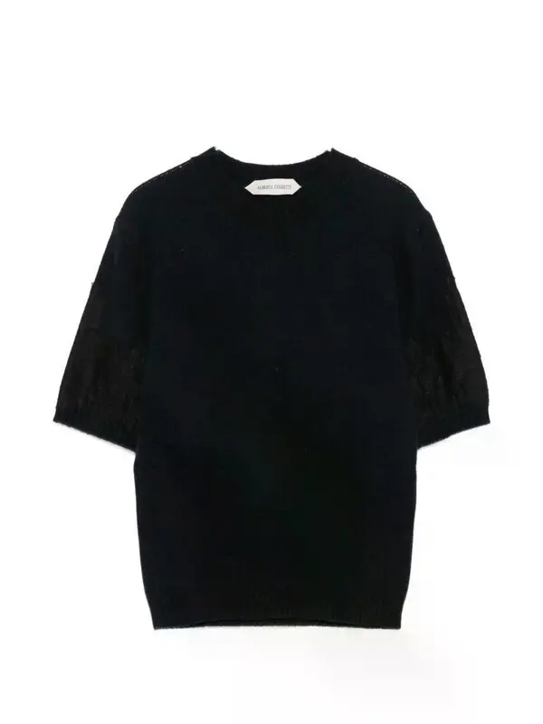 Alberta Ferretti Short Sleeve Sweater With Lace Paneling
