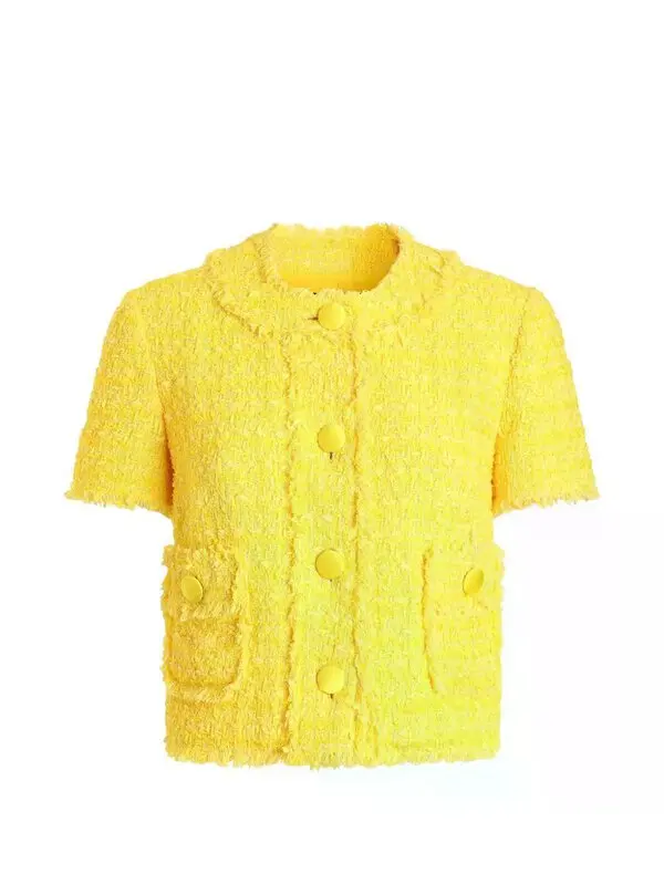 Dolce & Gabbana Tweed Jacket