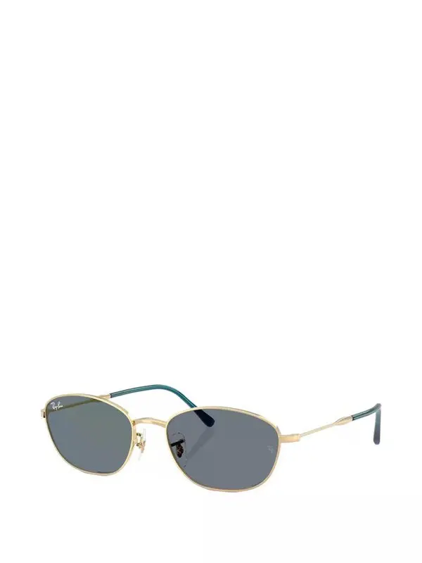 Ray-ban Tinted-lens Sunglasses