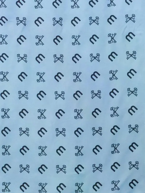 Maje Logo-print Scarf