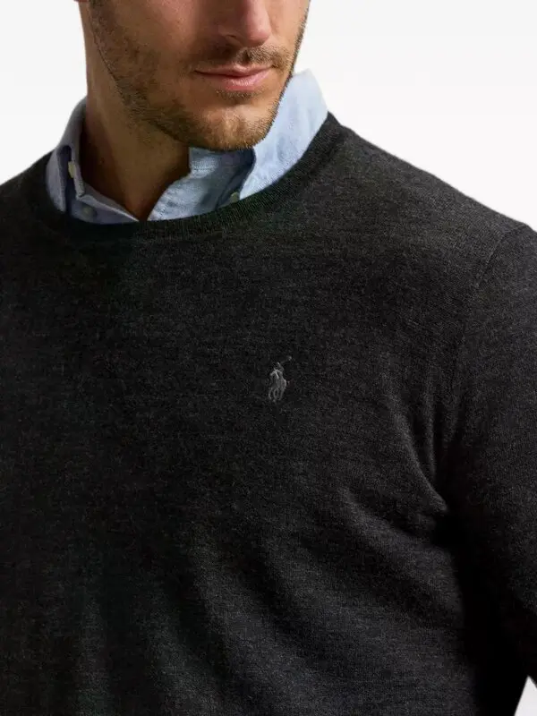 Polo Ralph Lauren Embroidered Pony Crew-neck Sweater