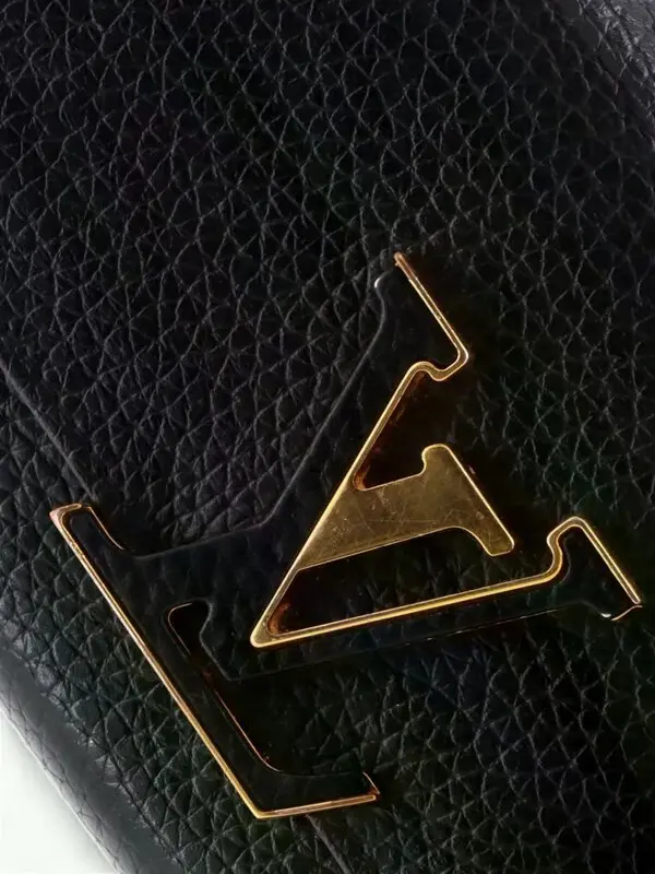 LOUIS VUITTON Capucines Wallet Leather Small Wallets