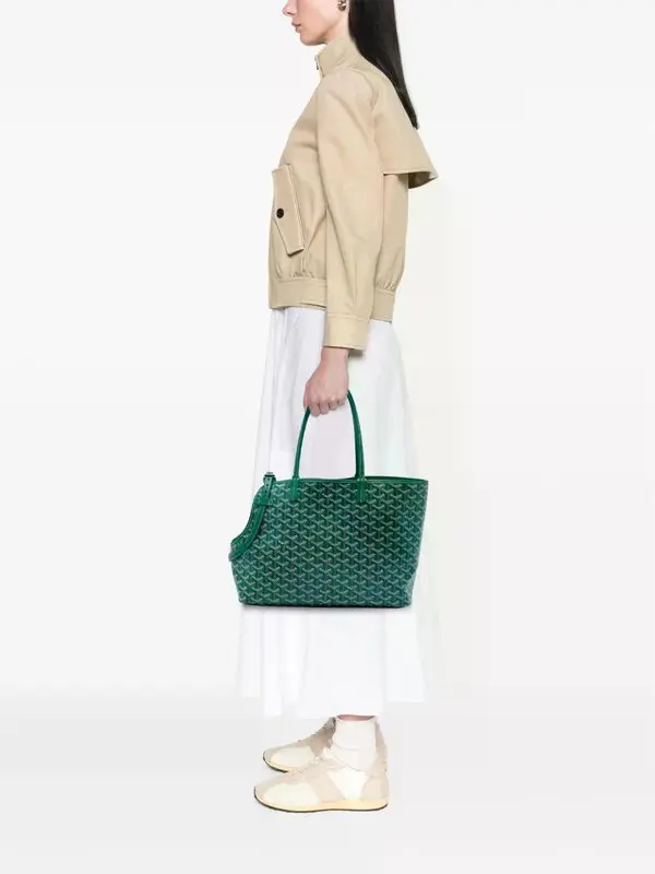 Goyard 2024 Goyardine Chien Gris Pet Carrier Travel Bag - Green