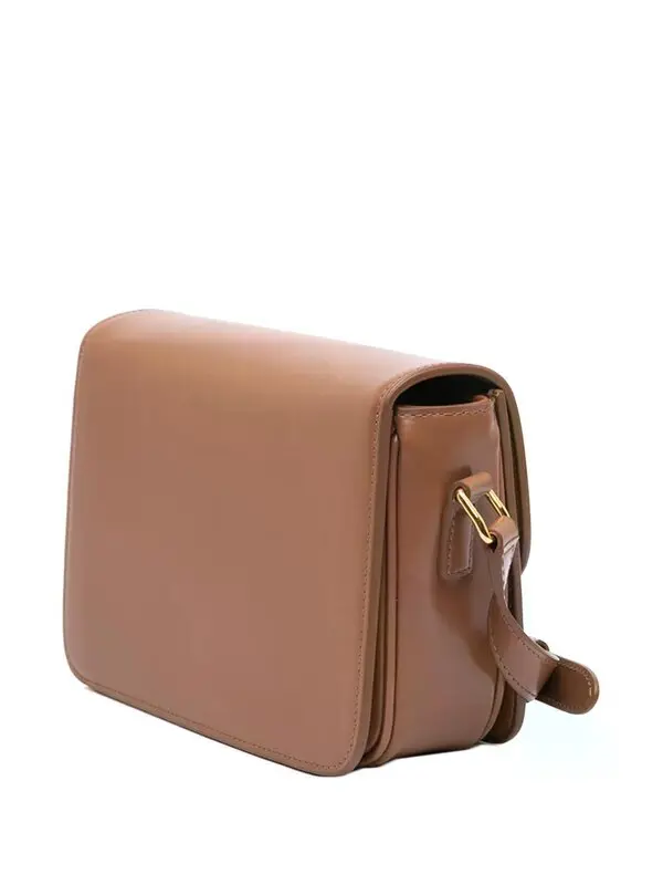 Celine 2024 Teen Shiny Calfskin Triomphe Crossbody Bag - Brown