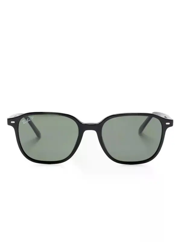 Ray-ban Leonard Sunglasses
