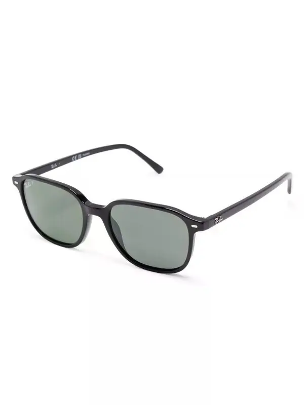 Ray-ban Leonard Sunglasses