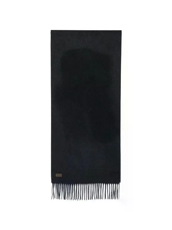 Canali Logo-patch Fringed Scarf - Blue