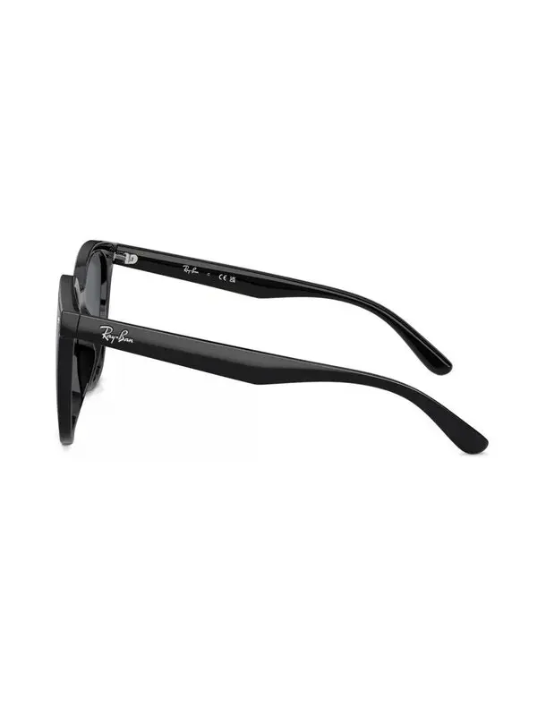 Ray-ban Rb4423d Sunglasses