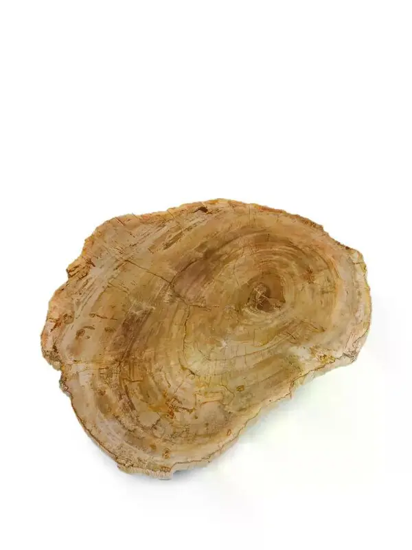 CU I SEEYOU Petrified Wood Platter