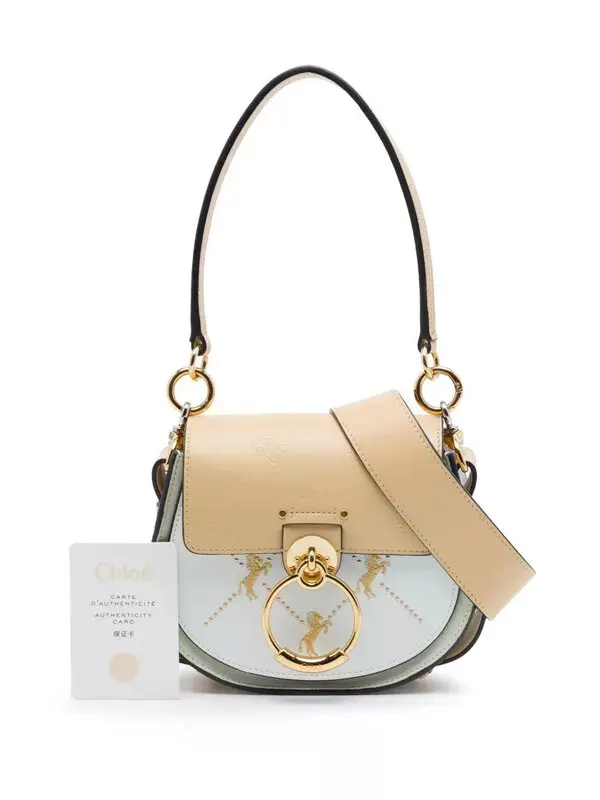 Chloé 2019 Small Bicolor Leather Little Horses Tess Satchel