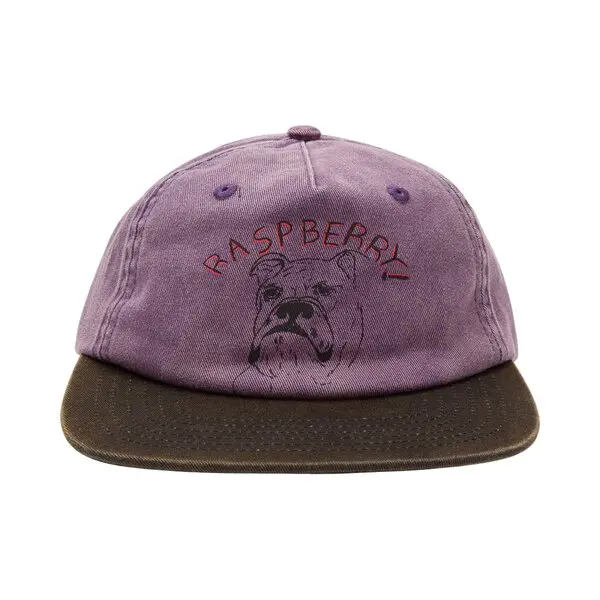 GV GALLERY Bulldog Hat 'washed