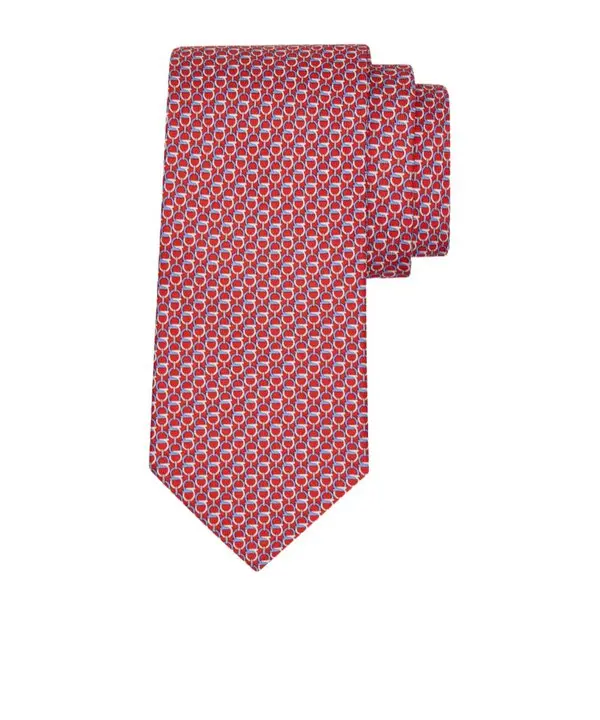 FERRAGAMO Silk Neck Tie
